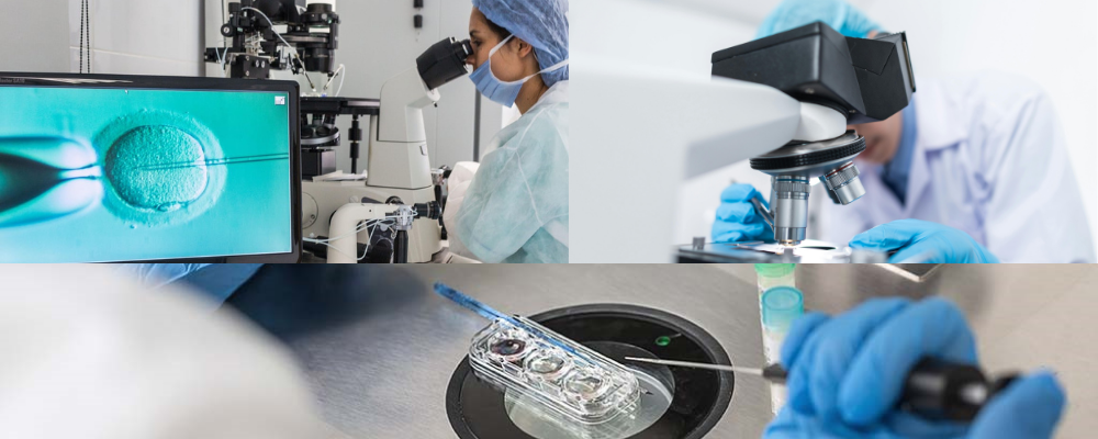 Practical Hands on IVF Training Center in India